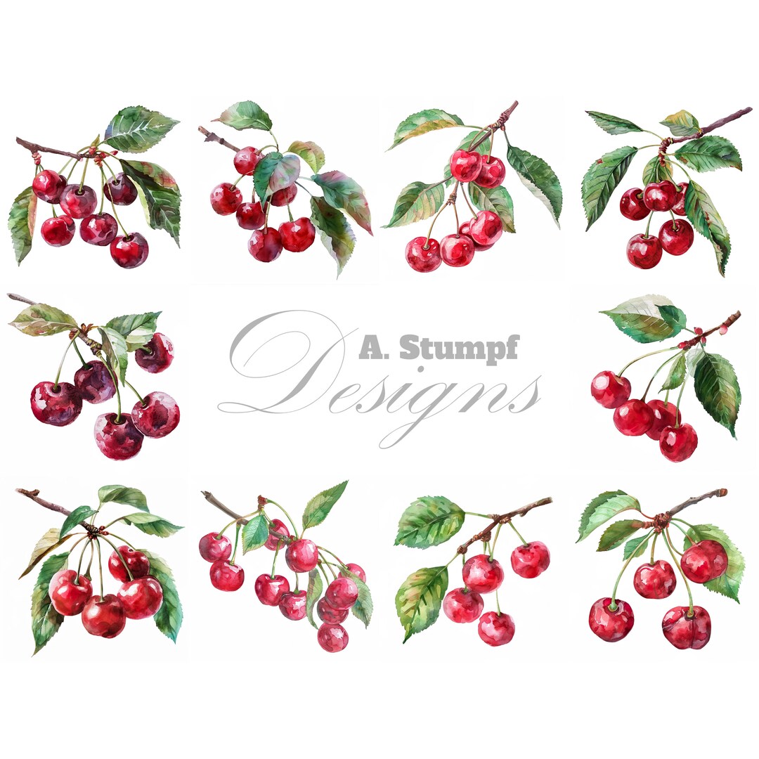 Cherry Clipart Set Watercolor Fruit Illustration Craft Graphics Kitchen ...