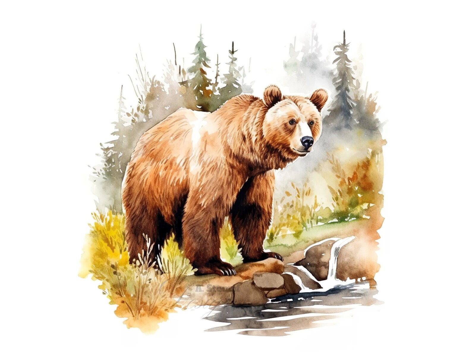 10 Bear Clipart Set Digital Watercolor Mammal Painting Woodland Animal ...
