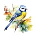 10 Blue Tit Bird Clipart Set Digital Watercolor Painting Forest ...