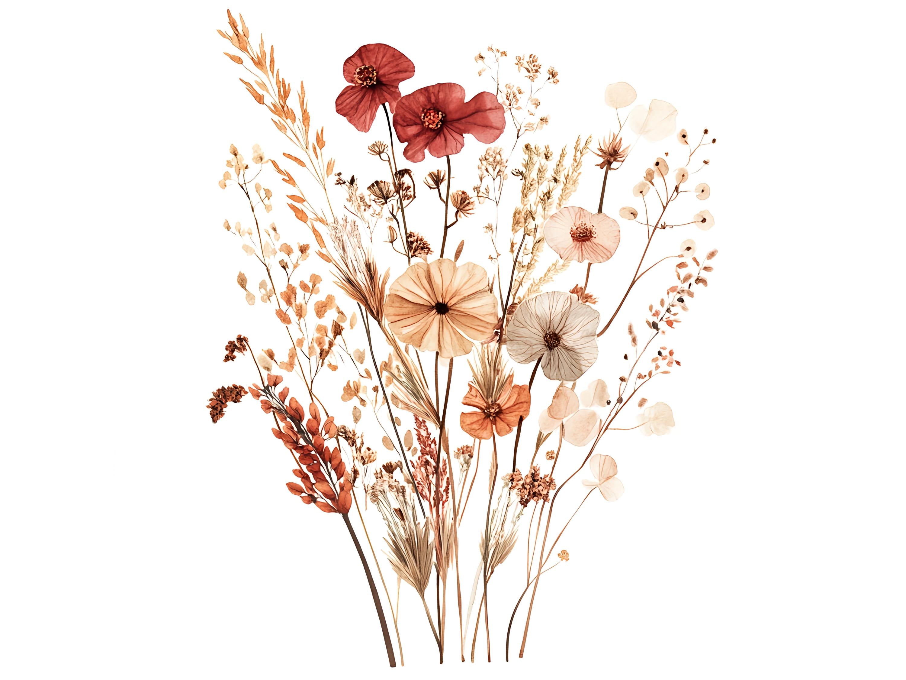 10 Dried Flowers Clipart Floral Arrangement Illustration Rustic ...