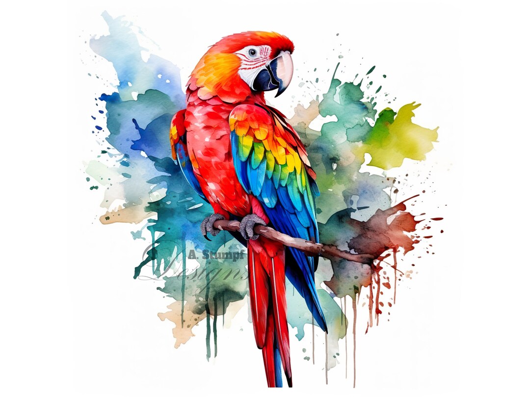 Parrot Watercolor Clipart Set 10 Digital Images Clip Art Watercolor Art ...