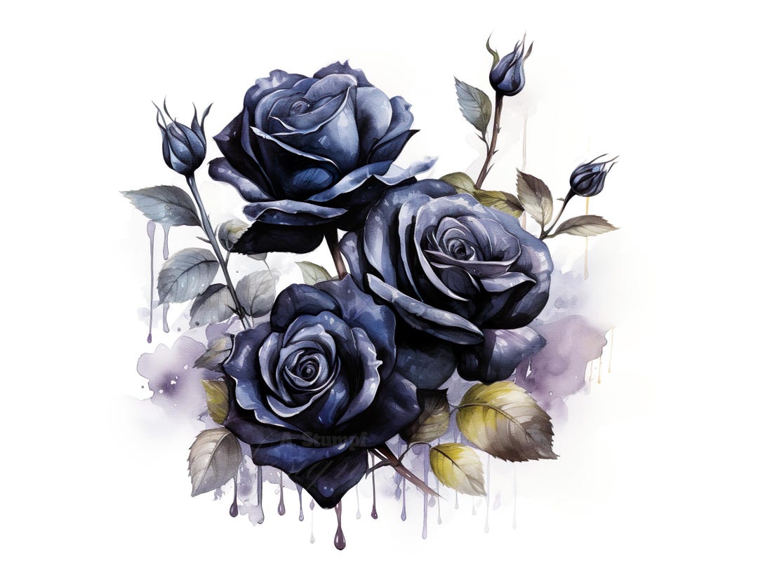 10 Black Roses Clipart Set Digital Watercolor Painting Floral Botanical ...