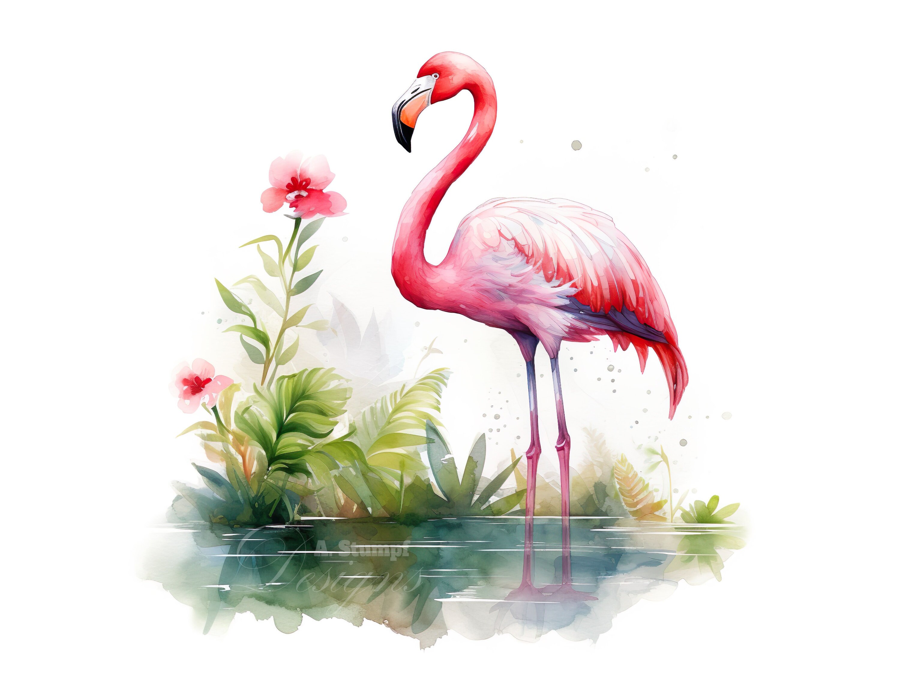 10 Flamingo Clipart Set Digital Watercolor Painting Safari Animal ...