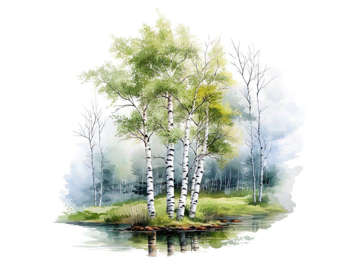 Birch Tree Clipart Nature Clip Art Bundle Watercolor Printable Wall Art ...