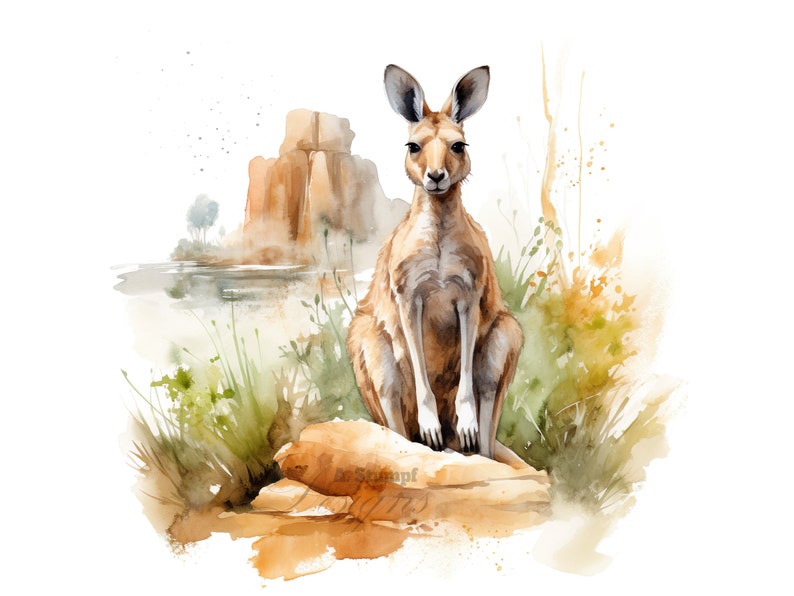 10 Kangaroo Clipart, Digital Watercolor Painting, Australian Wildlife ...