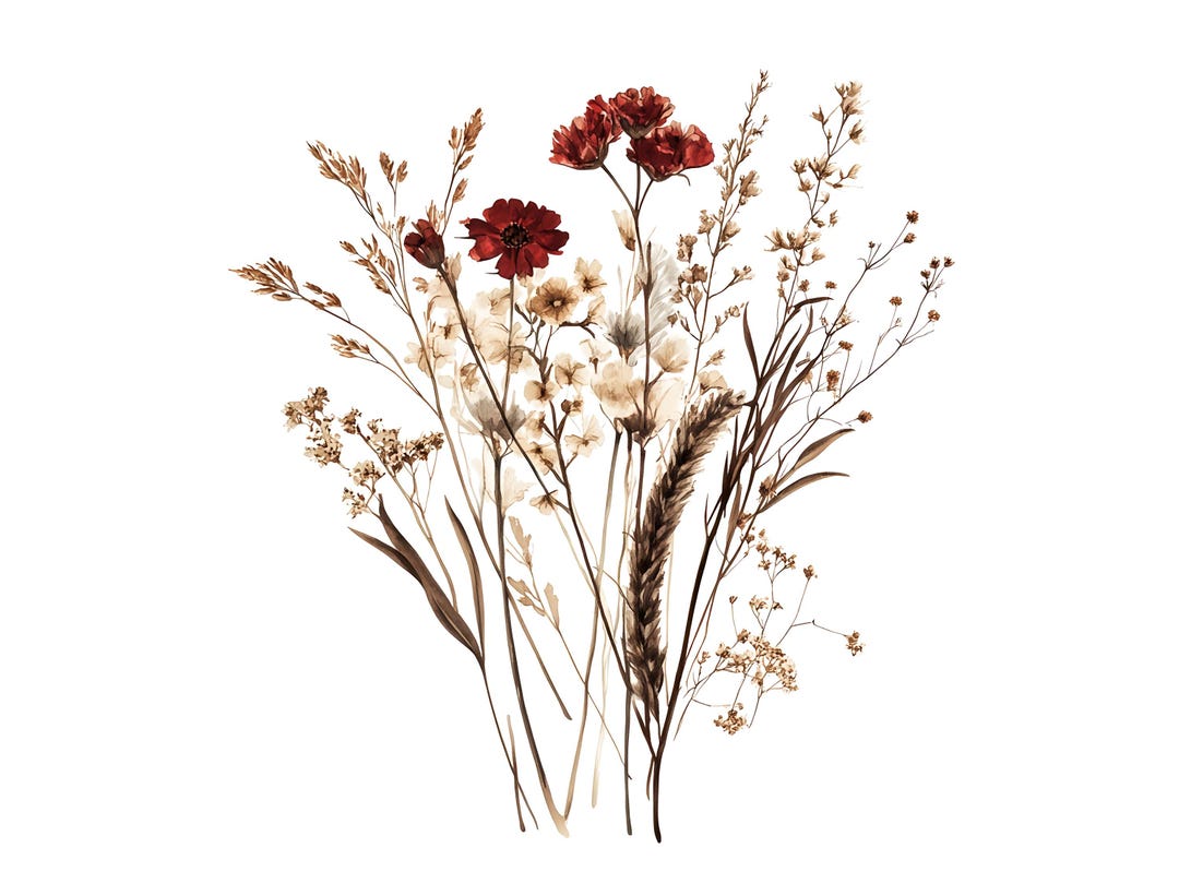 10 Dried Flowers Clipart Floral Arrangement Illustration Rustic ...