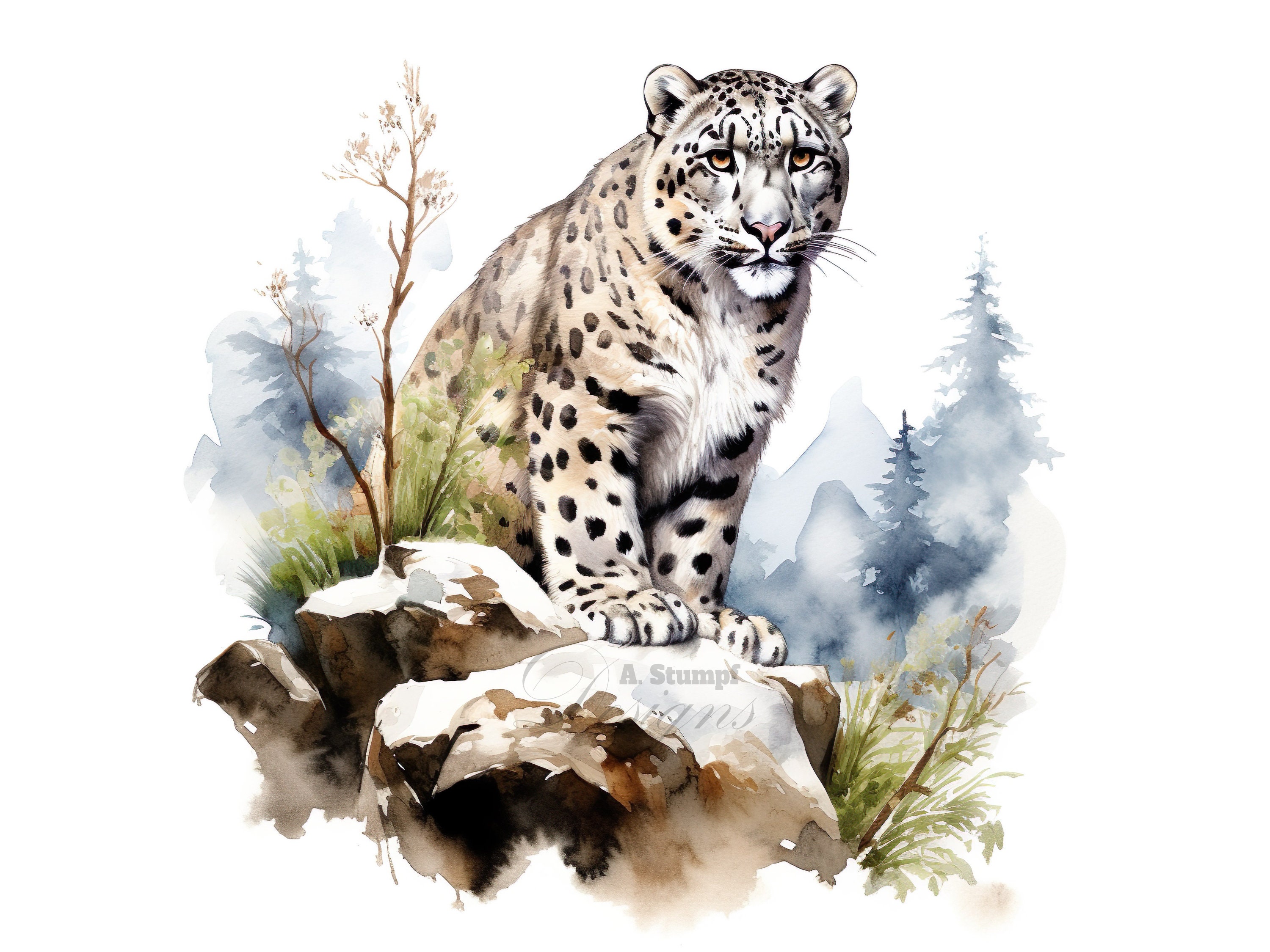 Snow Leopard Clipart Set of 10 High Quality Jpgs Digital - Etsy