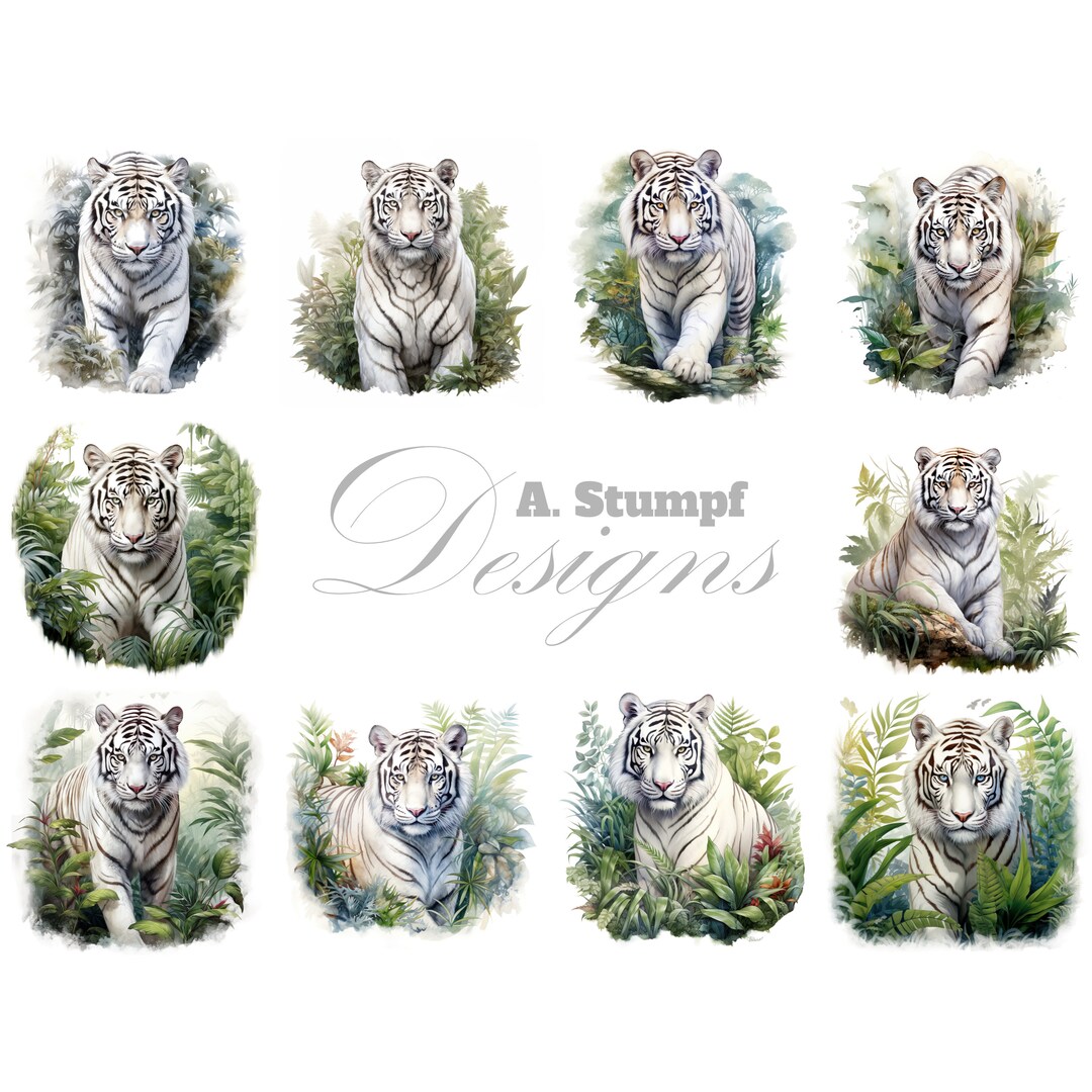 White Tiger Clipart Set Watercolor Jungle Animal Clip Art Set Printable ...