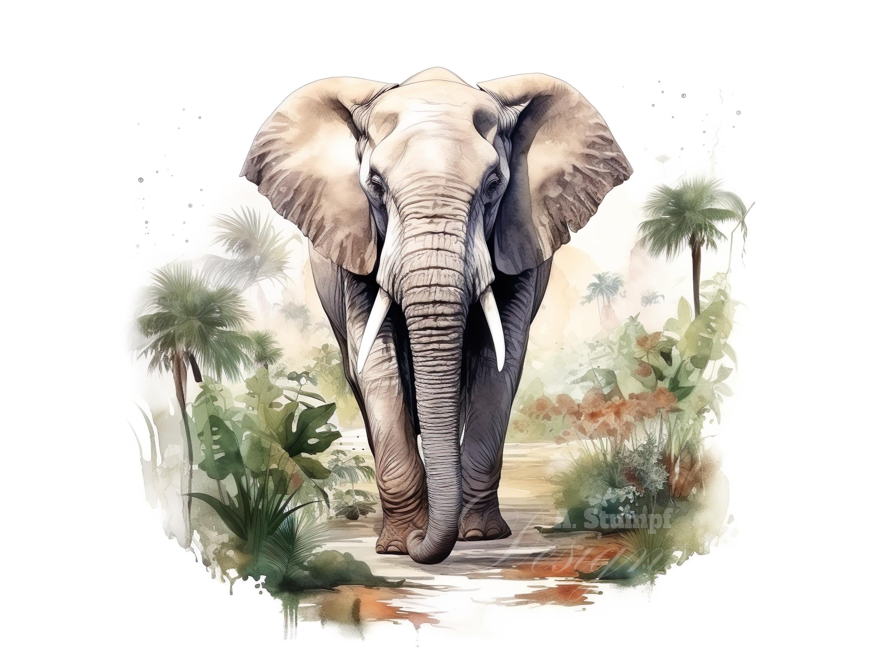 10 Elephant Clipart Set Digital Watercolor Painting African Safari ...