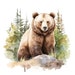 10 Bear Clipart Set Digital Watercolor Mammal Painting Woodland Animal ...