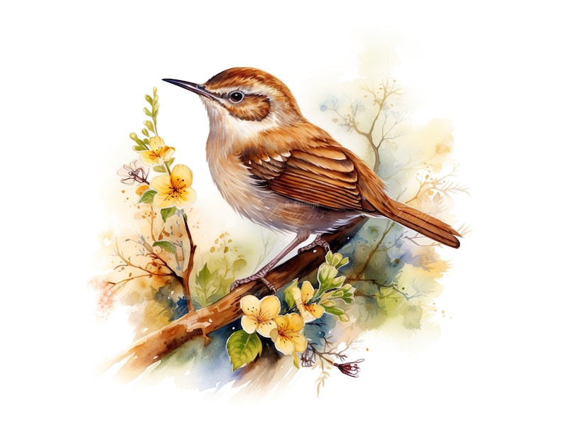10 Cute Wren Clipart Set Digital Watercolor Painting Wild Bird ...