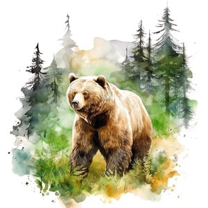 10 Bear Clipart Set Digital Watercolor Mammal Painting Woodland Animal ...