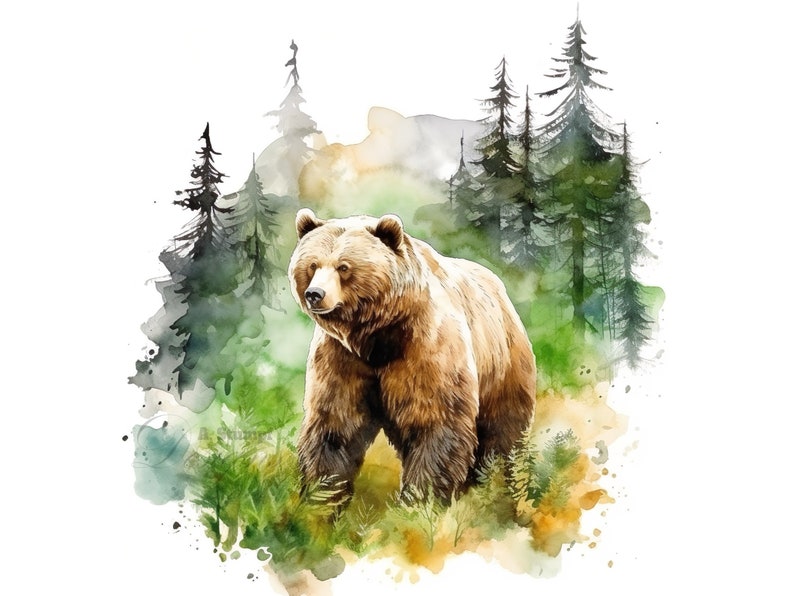 10 Bear Clipart Set Digital Watercolor Mammal Painting Woodland Animal ...