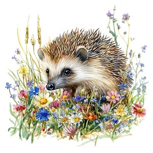 10 Hedgehog Wildflowers Clipart Set Digital Watercolor Painting Forset ...