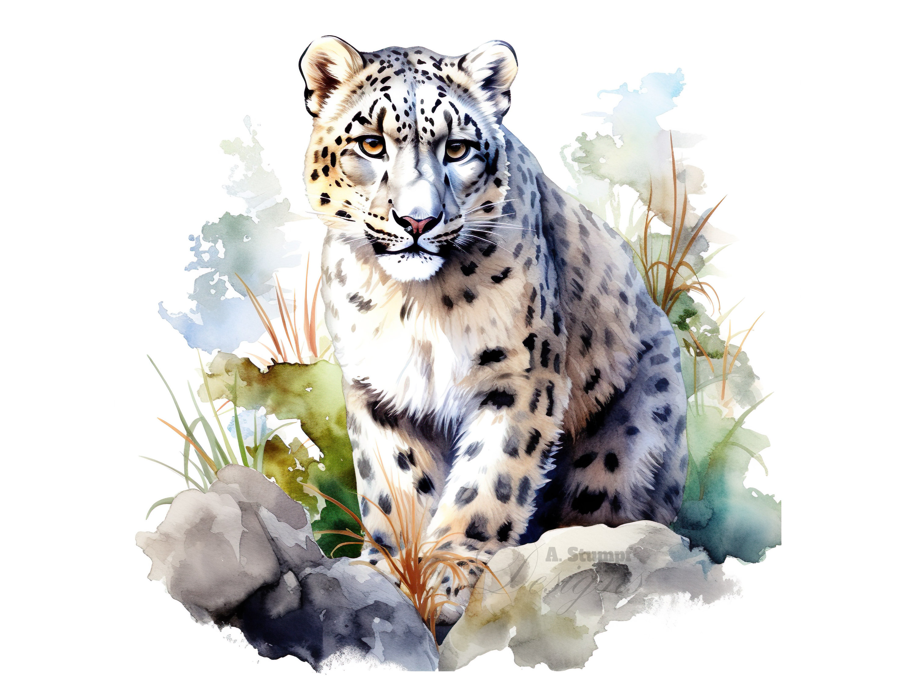 Snow Leopard Clipart Set of 10 High Quality Jpgs Digital - Etsy
