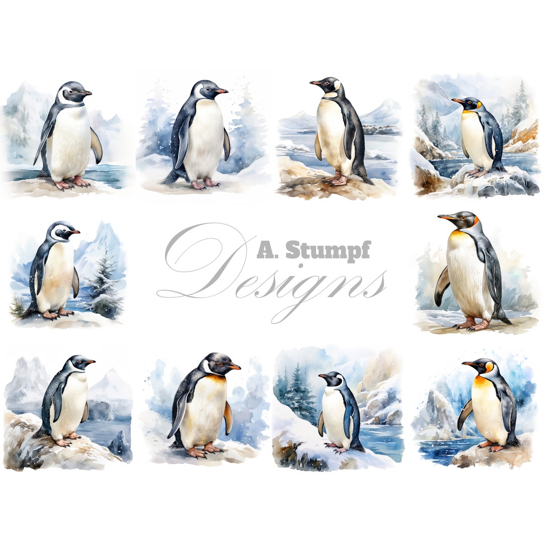 Penguin Clipart Set Penguin Lover Gift Idea Invite Clip Art Bundle ...