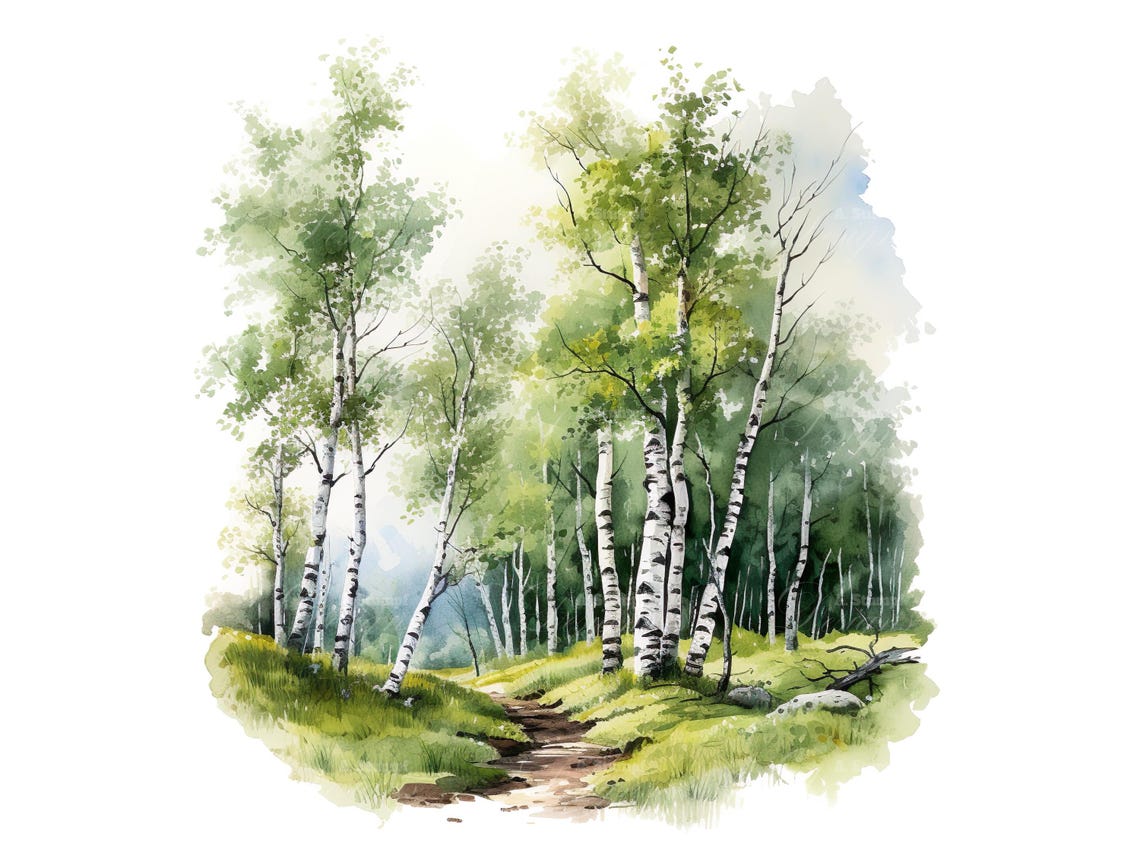 10 Birch Tree Clipart Nature Clip Art Bundle Watercolor Printable Wall ...