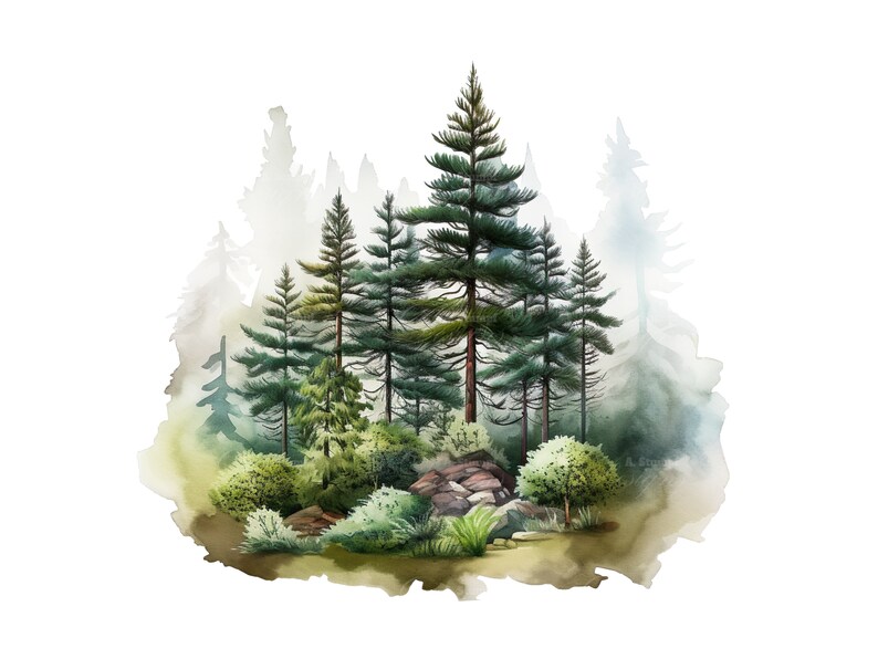 10 Pine Forest Landscape Scene Clipart Set Digital Watercolor Woodland ...