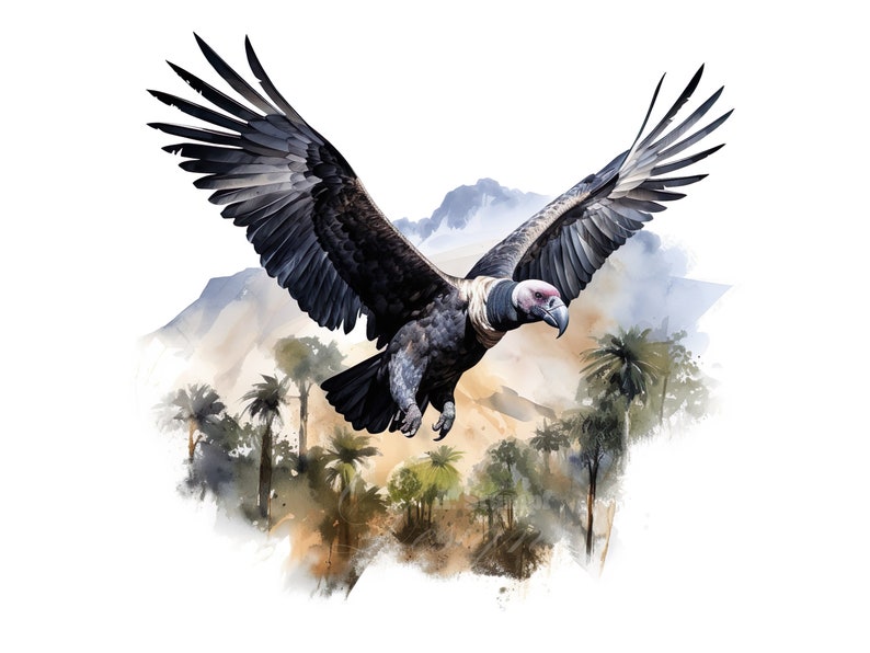 10 Flying Condor Clipart Set Digital Watercolor Painting Bird Clip Art ...