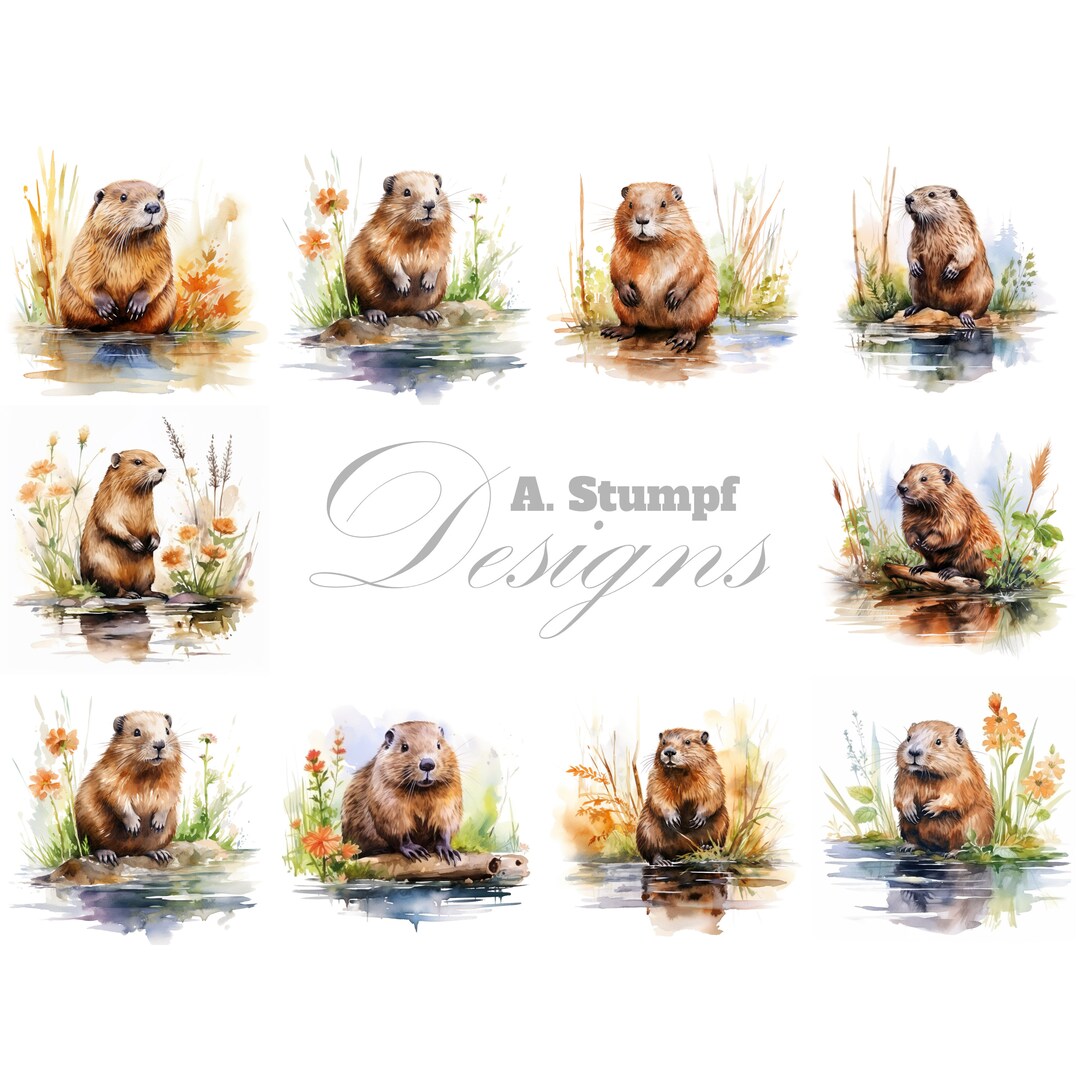 Beaver Clipart Set, Beaver Picture, Beaver Printable, Beaver Lover Gift ...