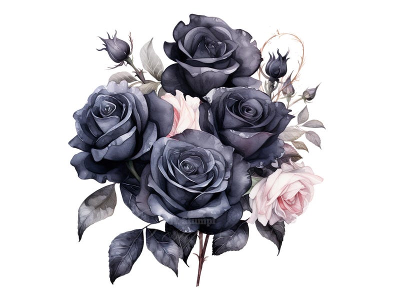 10 Black Roses Clipart Set Digital Watercolor Painting Floral Botanical ...
