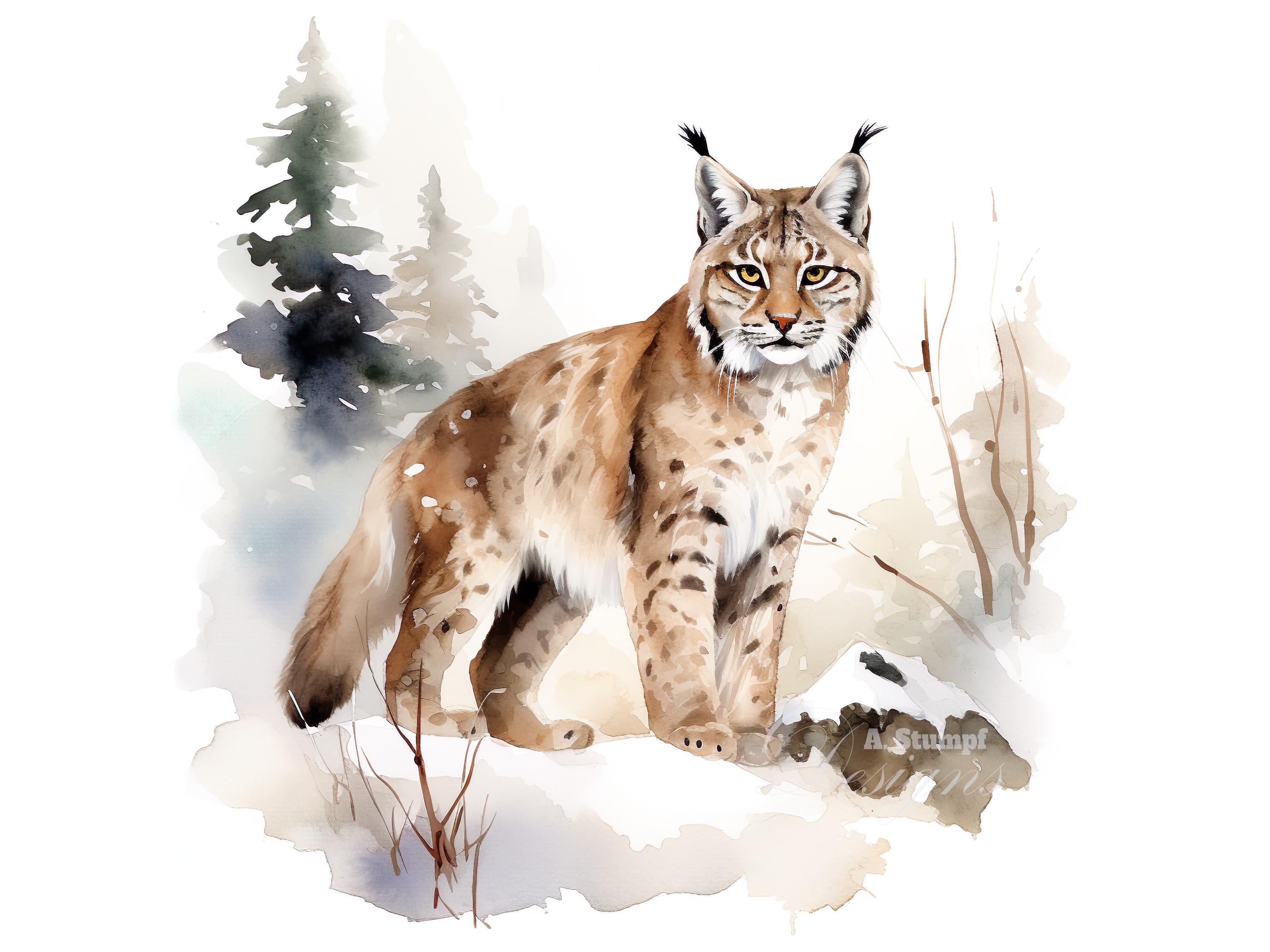 10 Lynx Clipart Set Digital Watercolor Painting Woodland Animal Nature ...