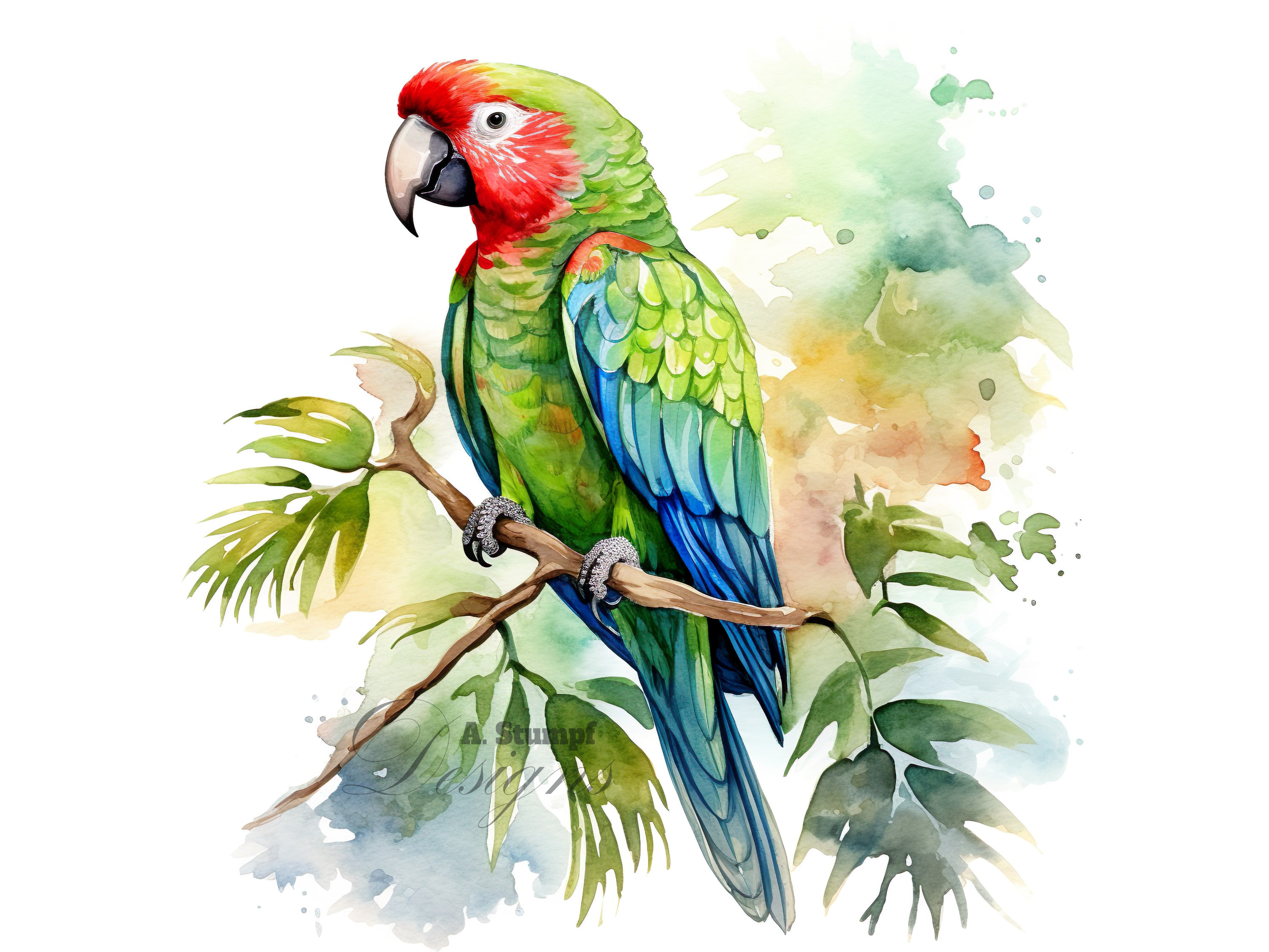 Parrot Watercolor Clipart Set 10 Digital Images Clip Art Watercolor Art ...