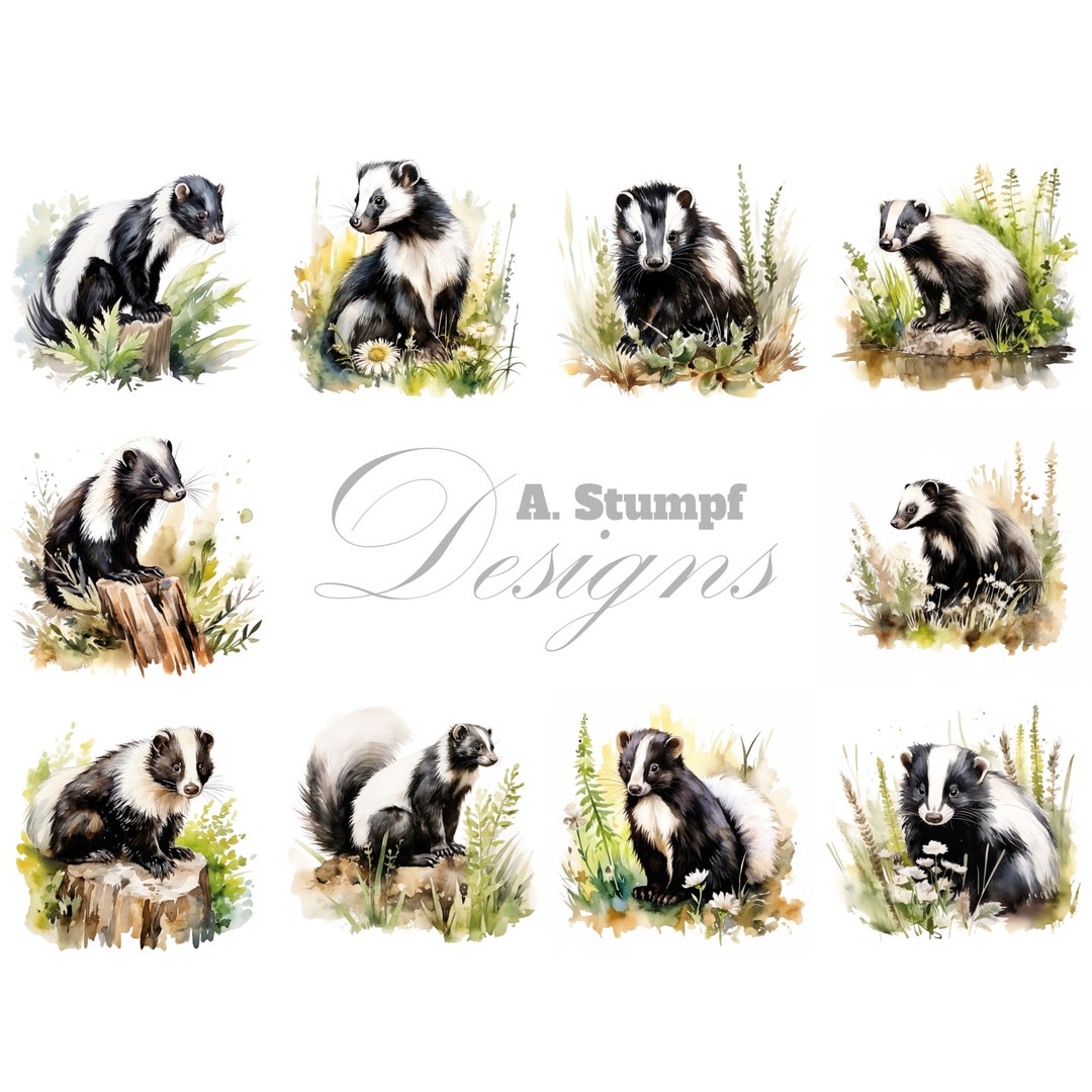 Skunk Clipart Set Watercolor Animal Clip Art Wildlife Illustration ...