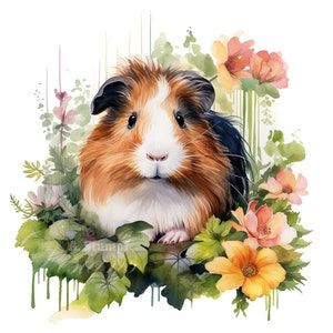 Guinea Pig Clipart Set 10 High Quality Jpgs, Pet Graphics, Printable ...