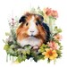 Guinea Pig Clipart Set 10 High Quality Jpgs, Pet Graphics, Printable ...