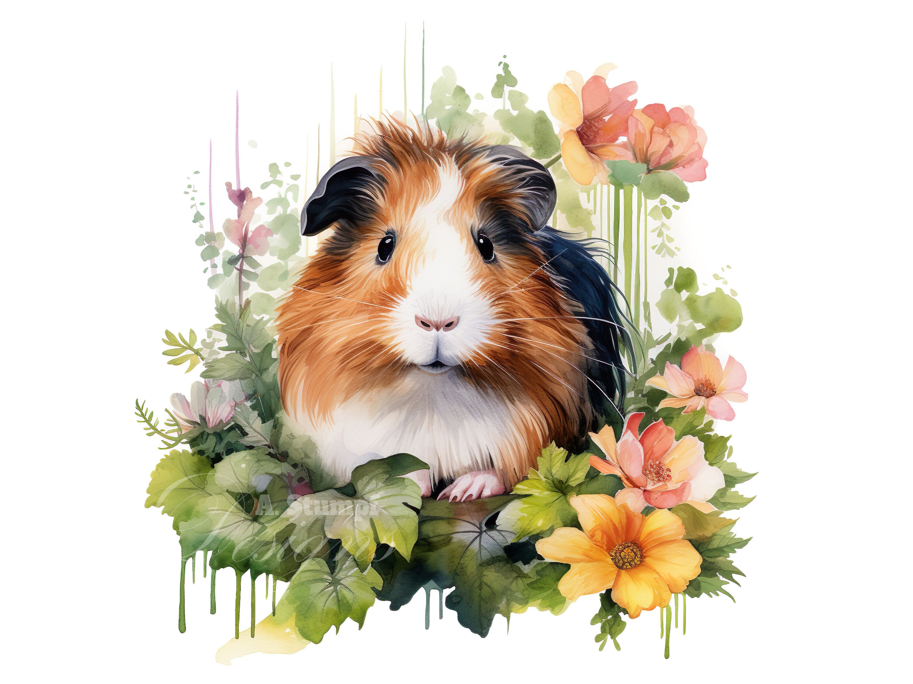 Guinea Pig Clipart Set 10 High Quality Jpgs, Pet Graphics, Printable ...