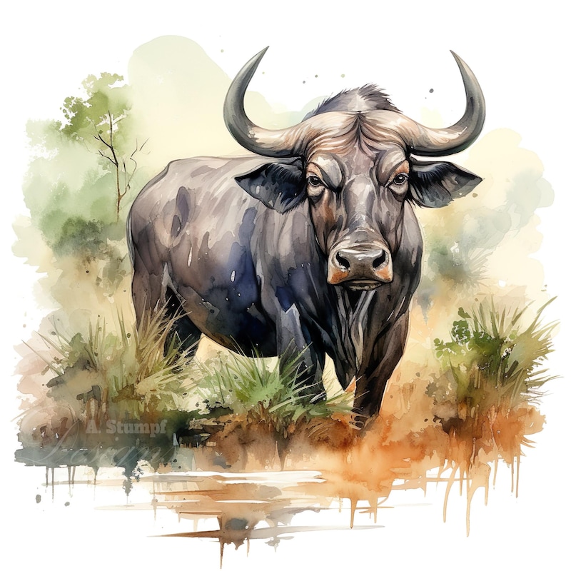 Buffalo Clipart - Etsy
