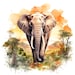 10 Elephant Clipart Set Digital Watercolor Painting African Safari ...