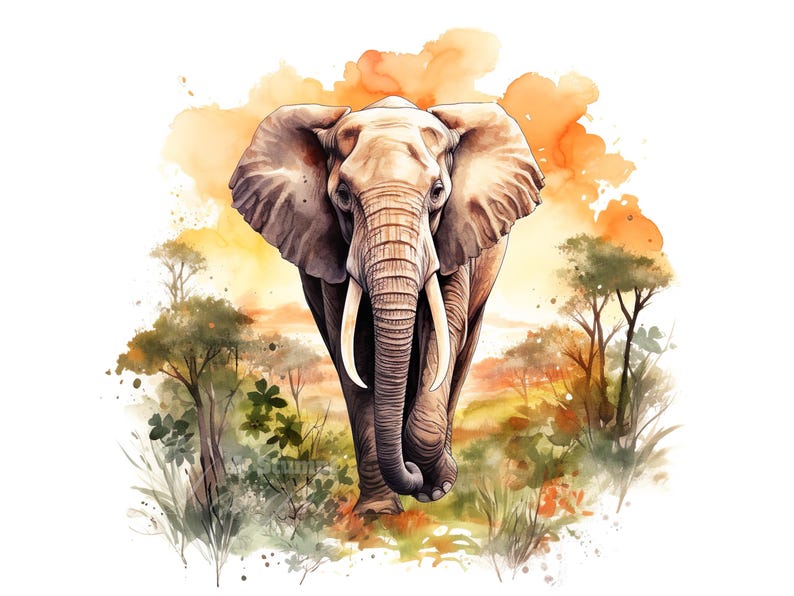10 Elephant Clipart Set Digital Watercolor Painting African Safari ...