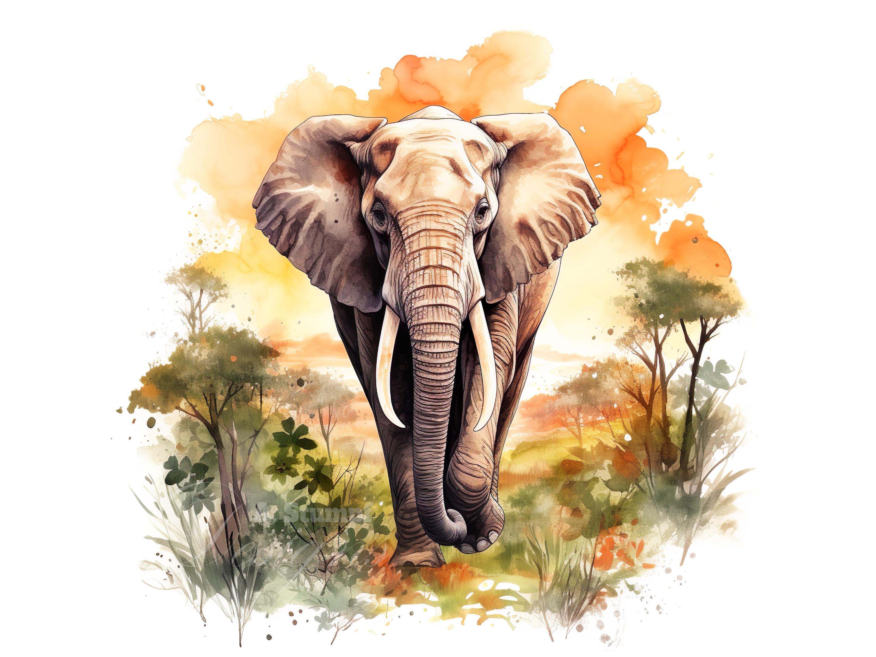 10 Elephant Clipart Set Digital Watercolor Painting African Safari ...