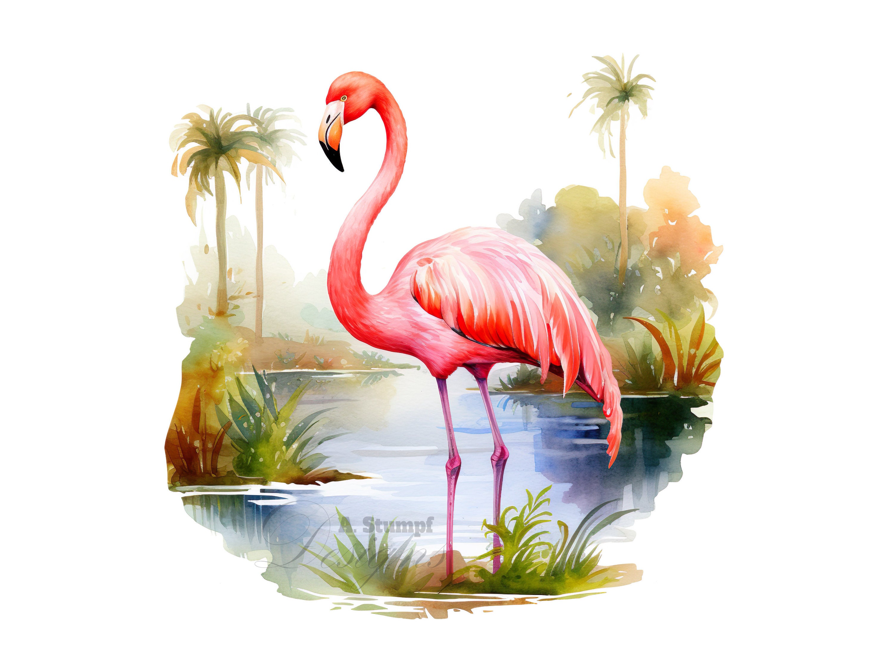 10 Flamingo Clipart Set Digital Watercolor Painting Safari Animal ...