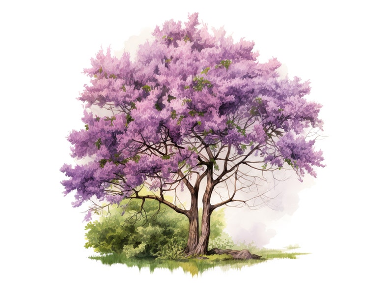 10 Lilac Tree Clipart, Watercolor Illustration, Floral Tree Digital ...
