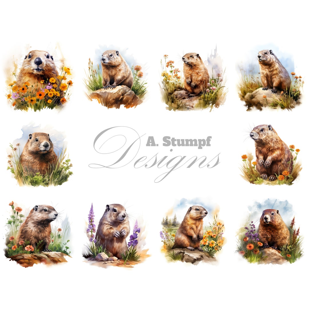 Groundhog Watercolor Clipart Set Cute Animals Bundle Instant Download ...