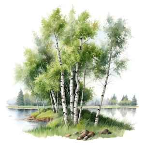 Birch Tree Clipart Nature Clip Art Bundle Watercolor Printable Wall Art ...