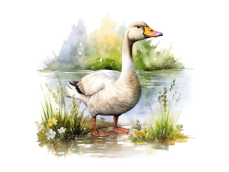 10 Goose Clipart Set Digital Watercolor Painting Farm Animal ...