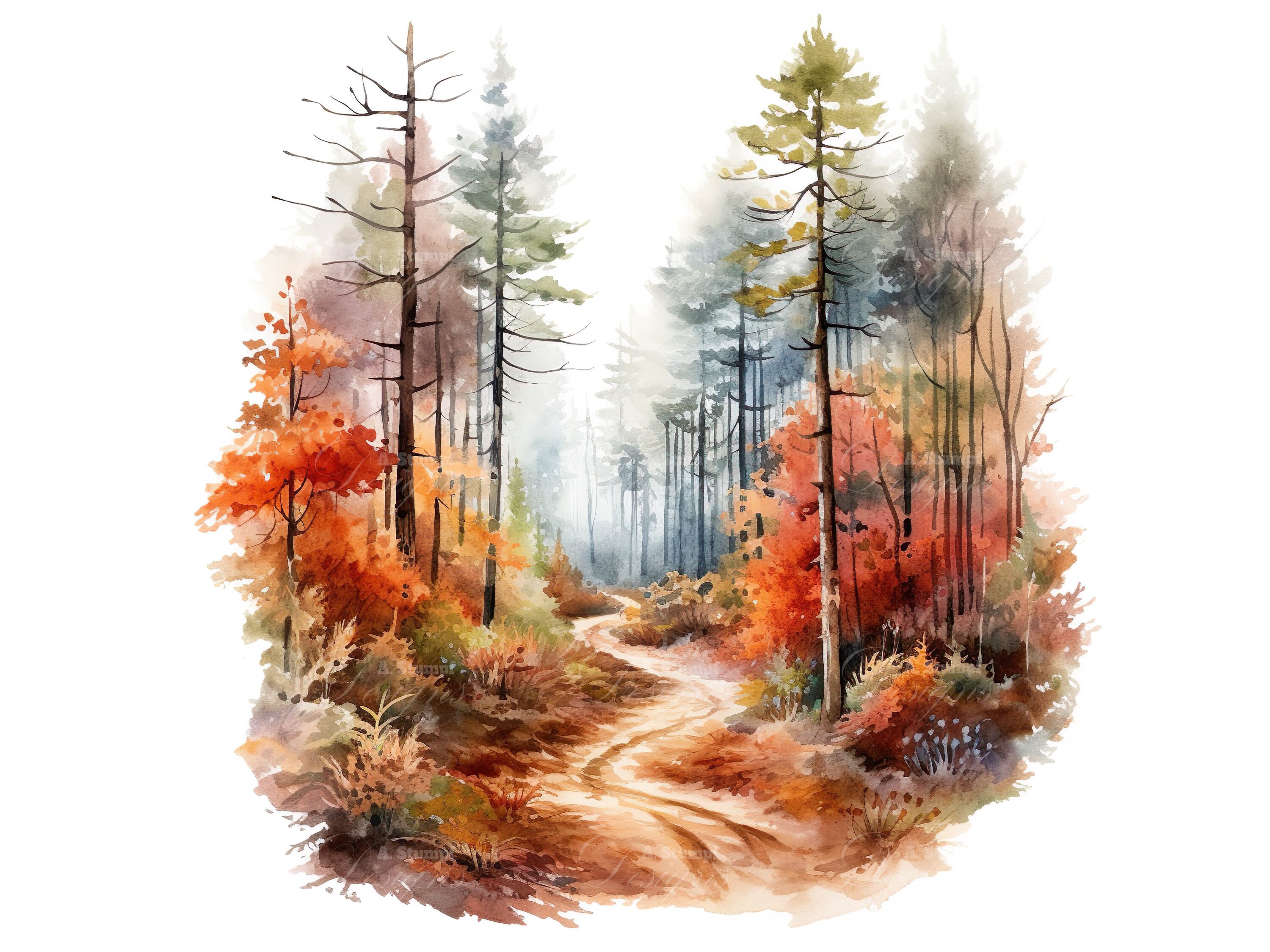10 Autumn Forest Hiking Trail Clipart Watercolor Nature Paintings ...
