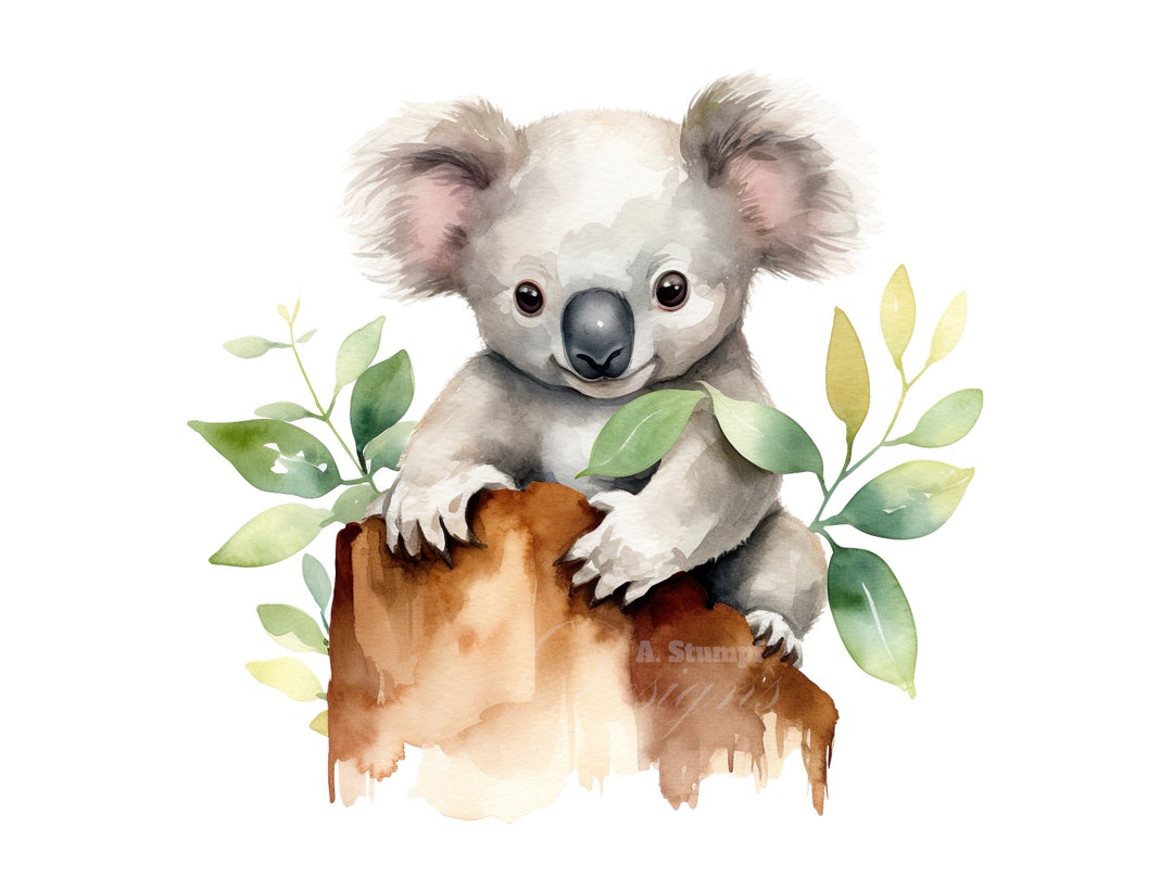 10 Koala Bear Clipart Set, Digital Watercolor Painting, Australian ...