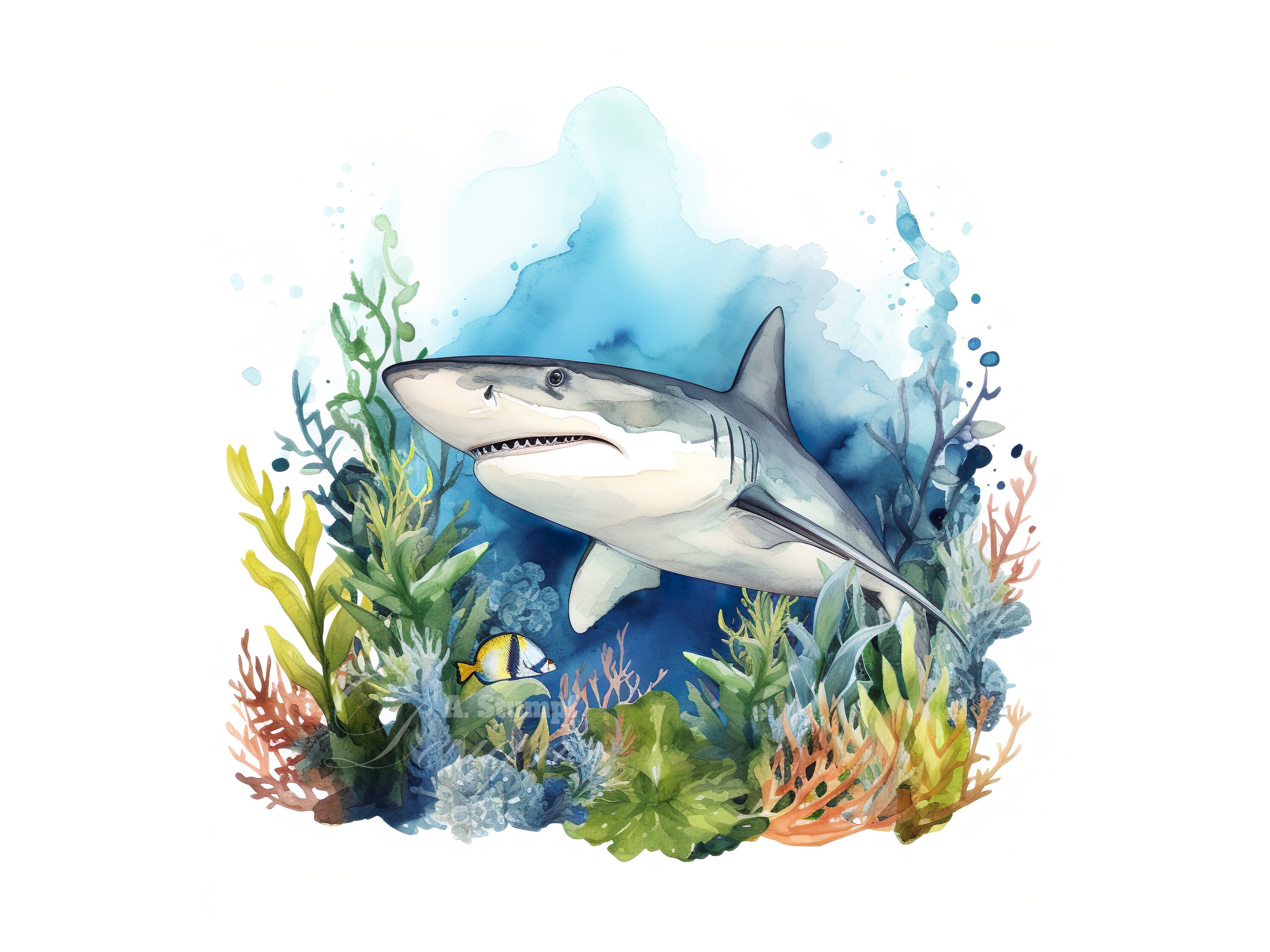 Shark Clipart Set Print Pictures Shark Lovers Gift Idea Printable ...