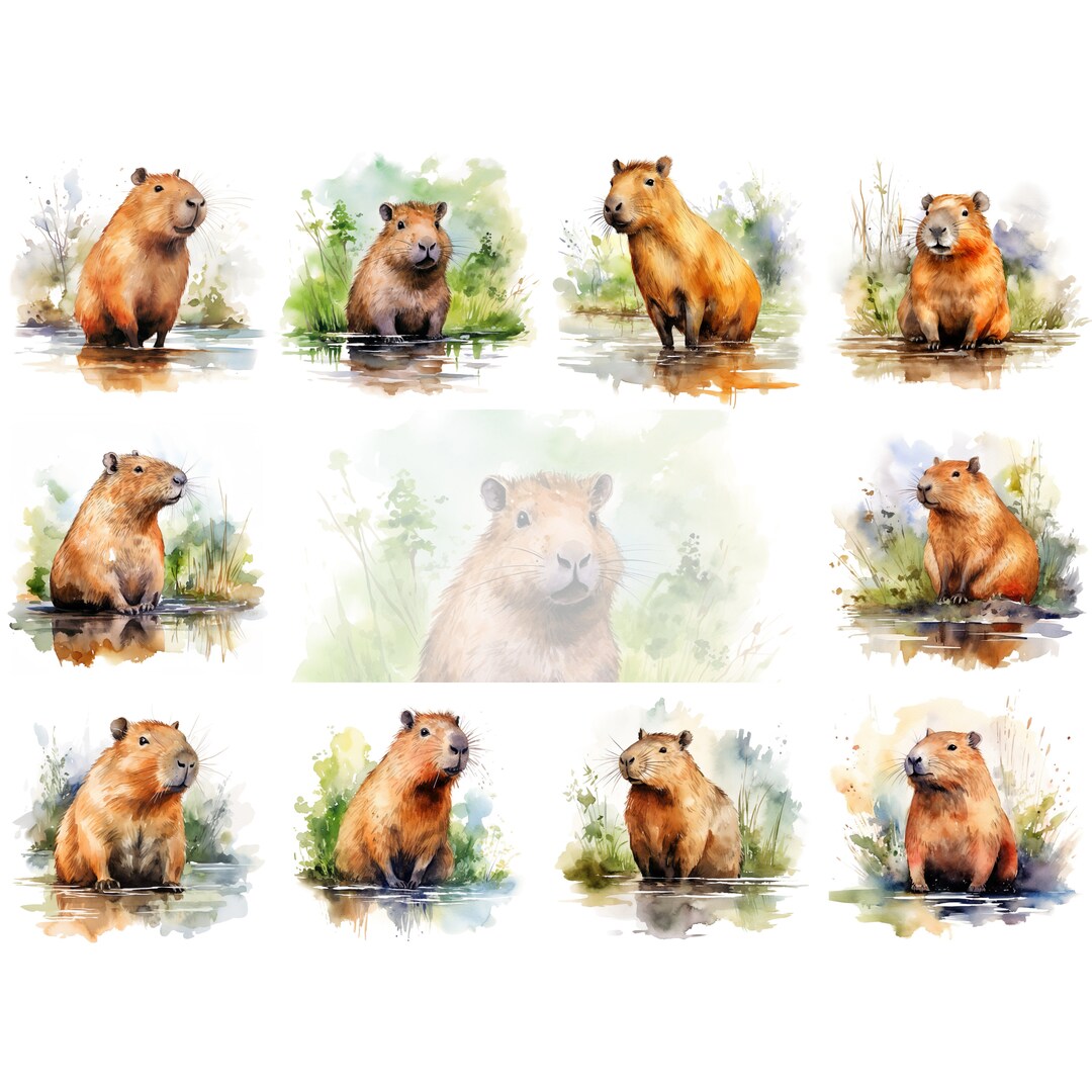 Funny Capybara Clipart Set Gift Ideas Watercolor Art Print Collage Wall ...