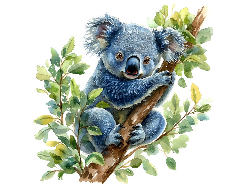 10 Koala Bear Clipart Set Digital Watercolor Painting Australian ...
