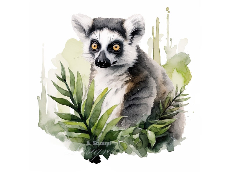 10 Lemur Clipart Set Watercolor Clip Art Bundle Safari Jungle Animals ...