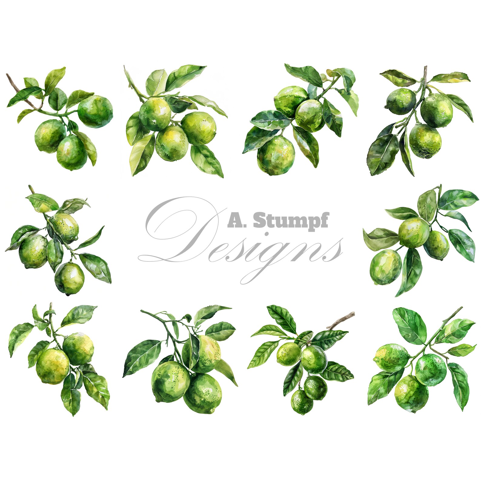 Lime Branch Clipart Set Watercolor Green Citrus Wall Art Print Fruit ...