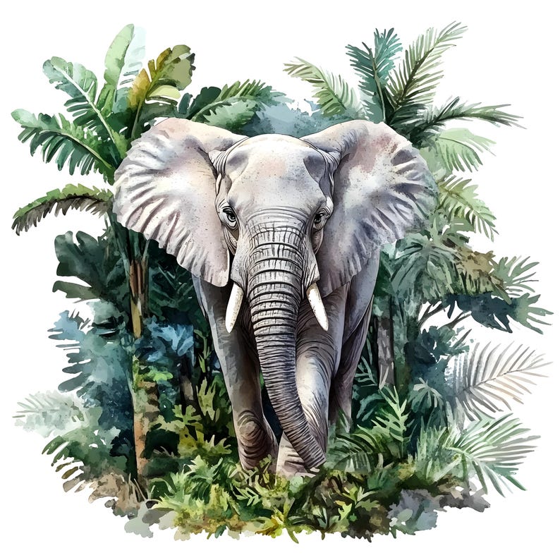 10 Elephant Clipart Set Digital Watercolor Painting African Safari ...