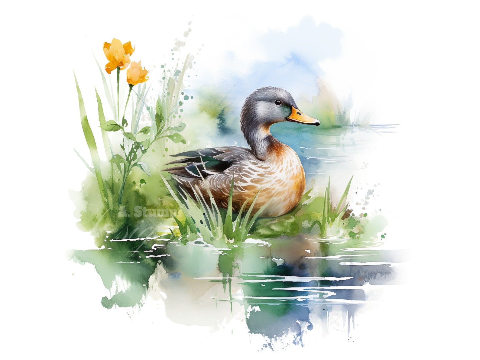 10 Duck Watercolor Clipart Set Cute Ducklings Illustration Digital Clip ...
