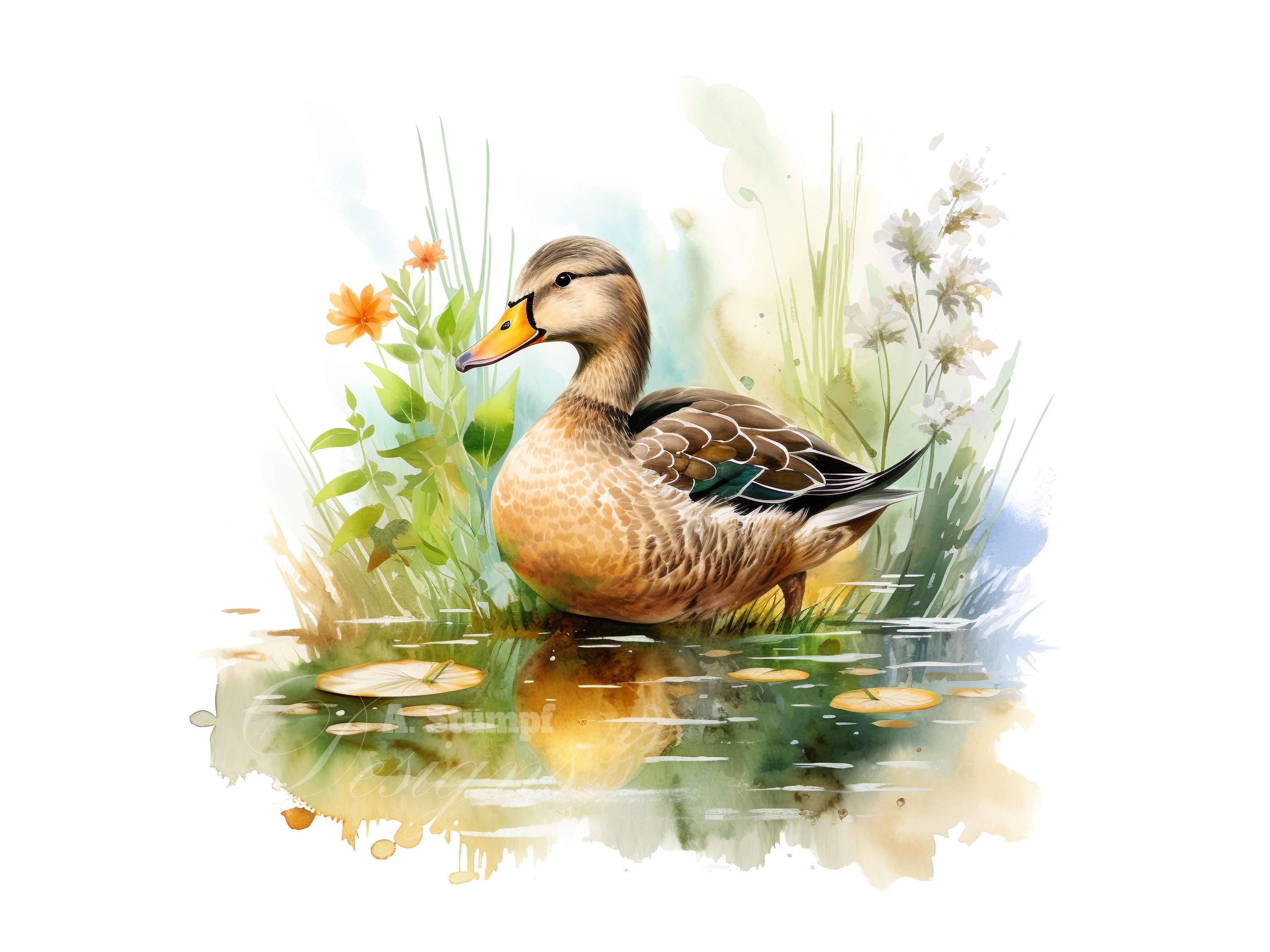 10 Duck Watercolor Clipart Set Cute Ducklings Illustration Digital Clip ...